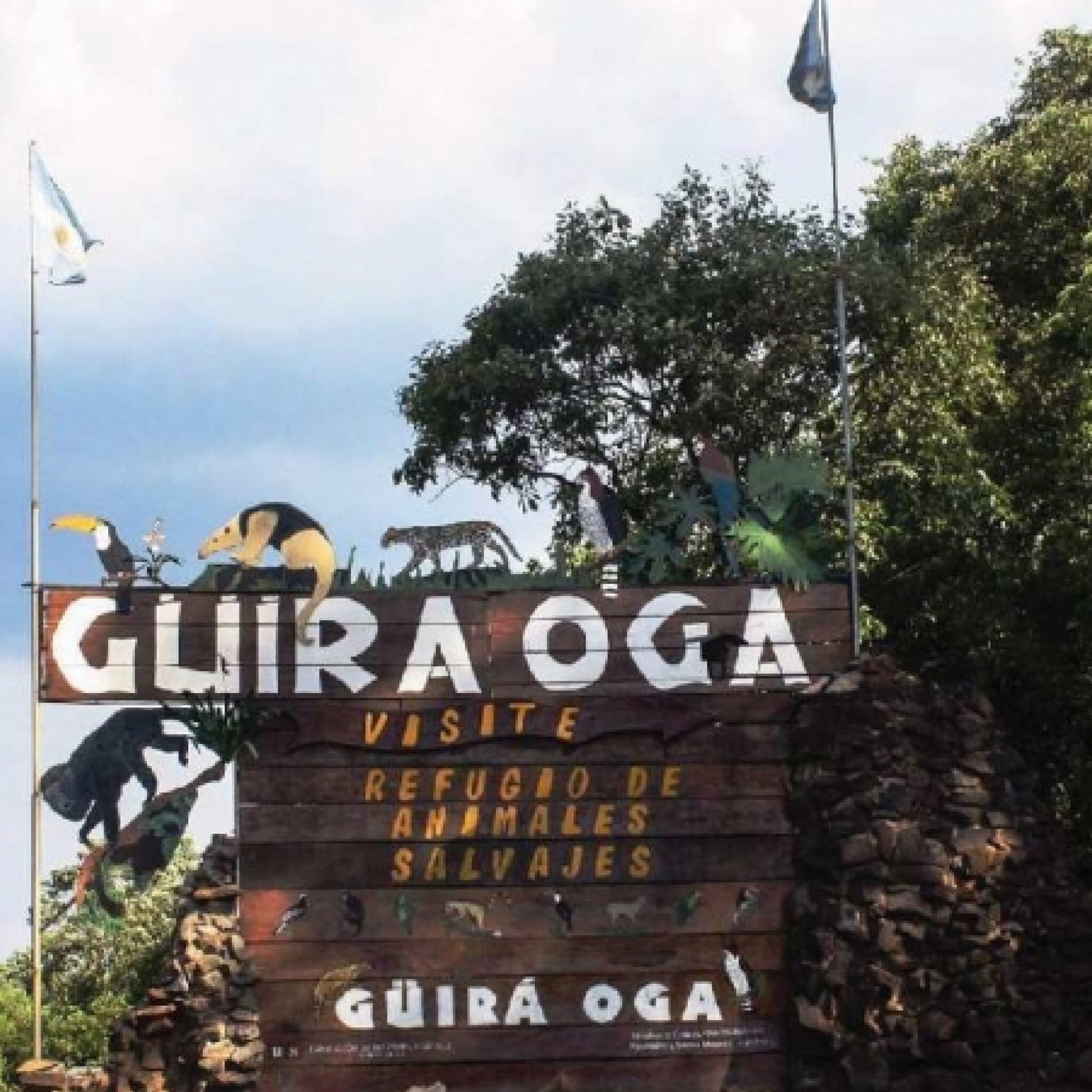 Animal Care and Volunteering in Iguazu Falls | iguazufalls.com