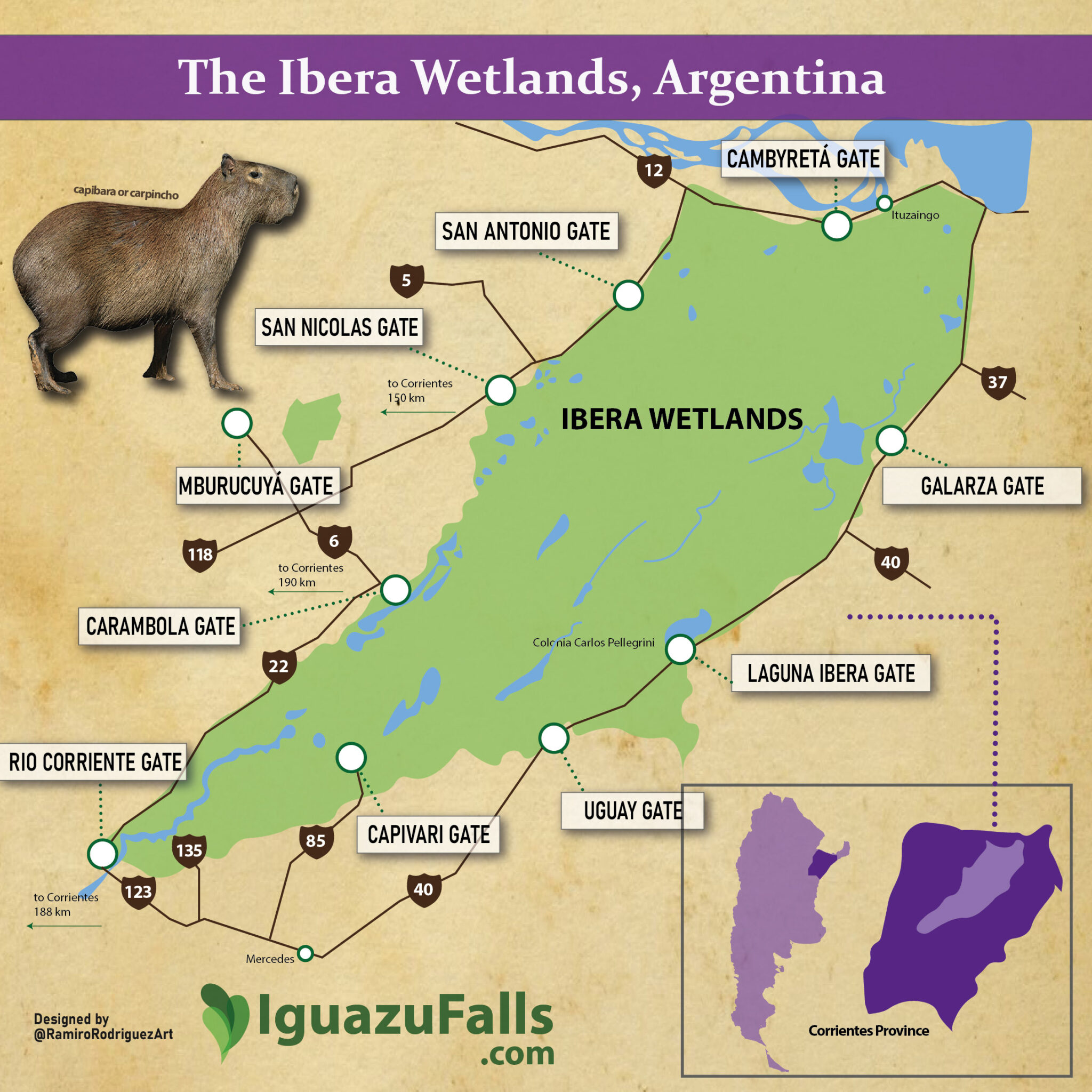 The Ibera Wetlands | iguazufalls.com