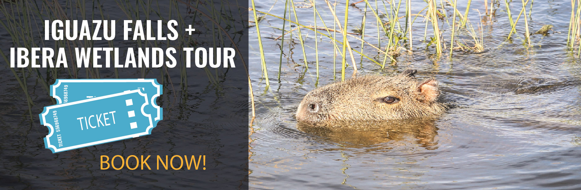 The Ibera Wetlands | iguazufalls.com